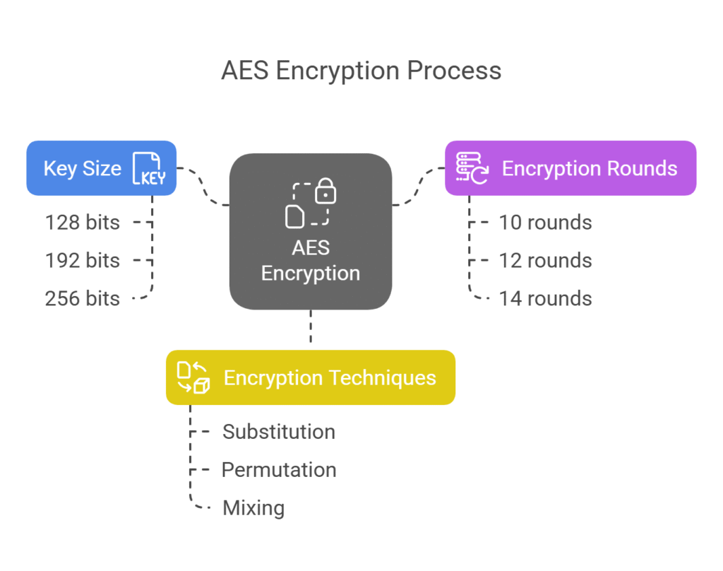 Encryption Standards: AES and RSA – What You Need to Know