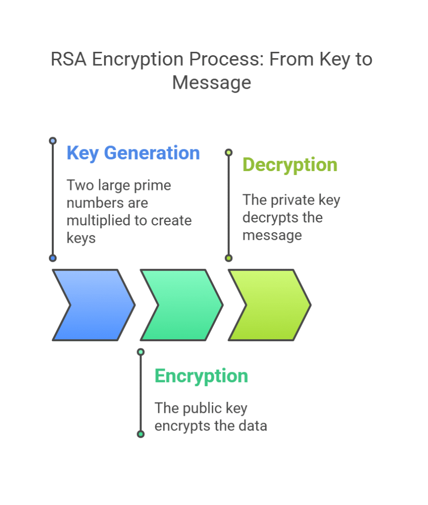 Encryption Standards: AES and RSA – What You Need to Know